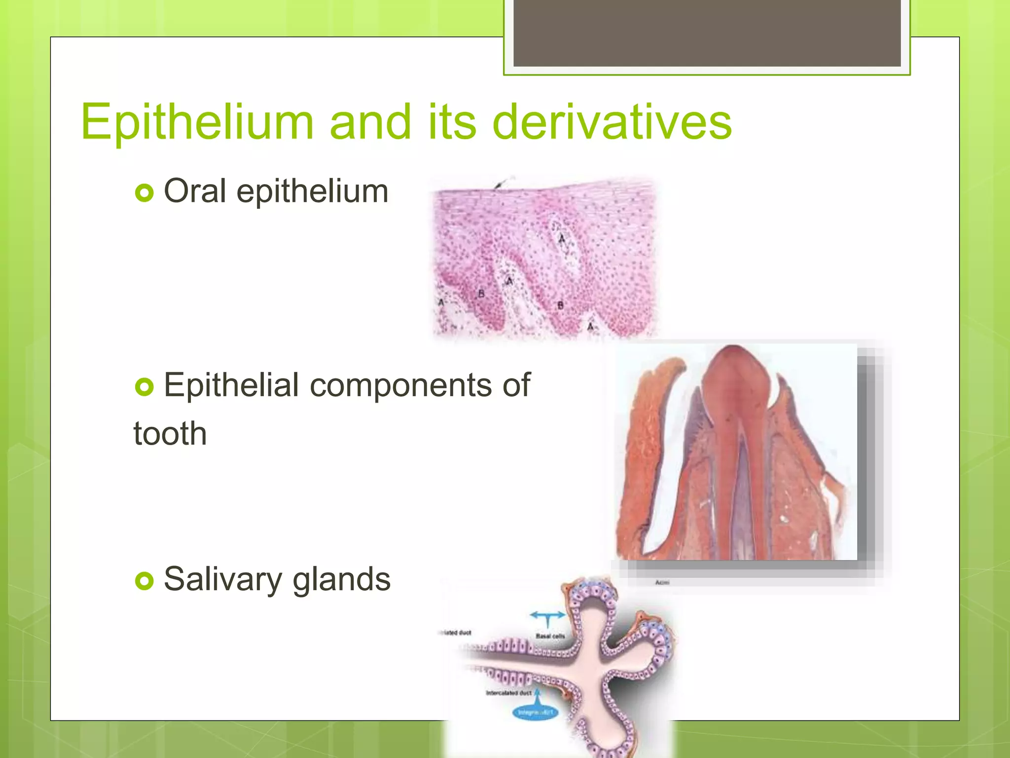 Histochemistry of oral tissues | PPTX