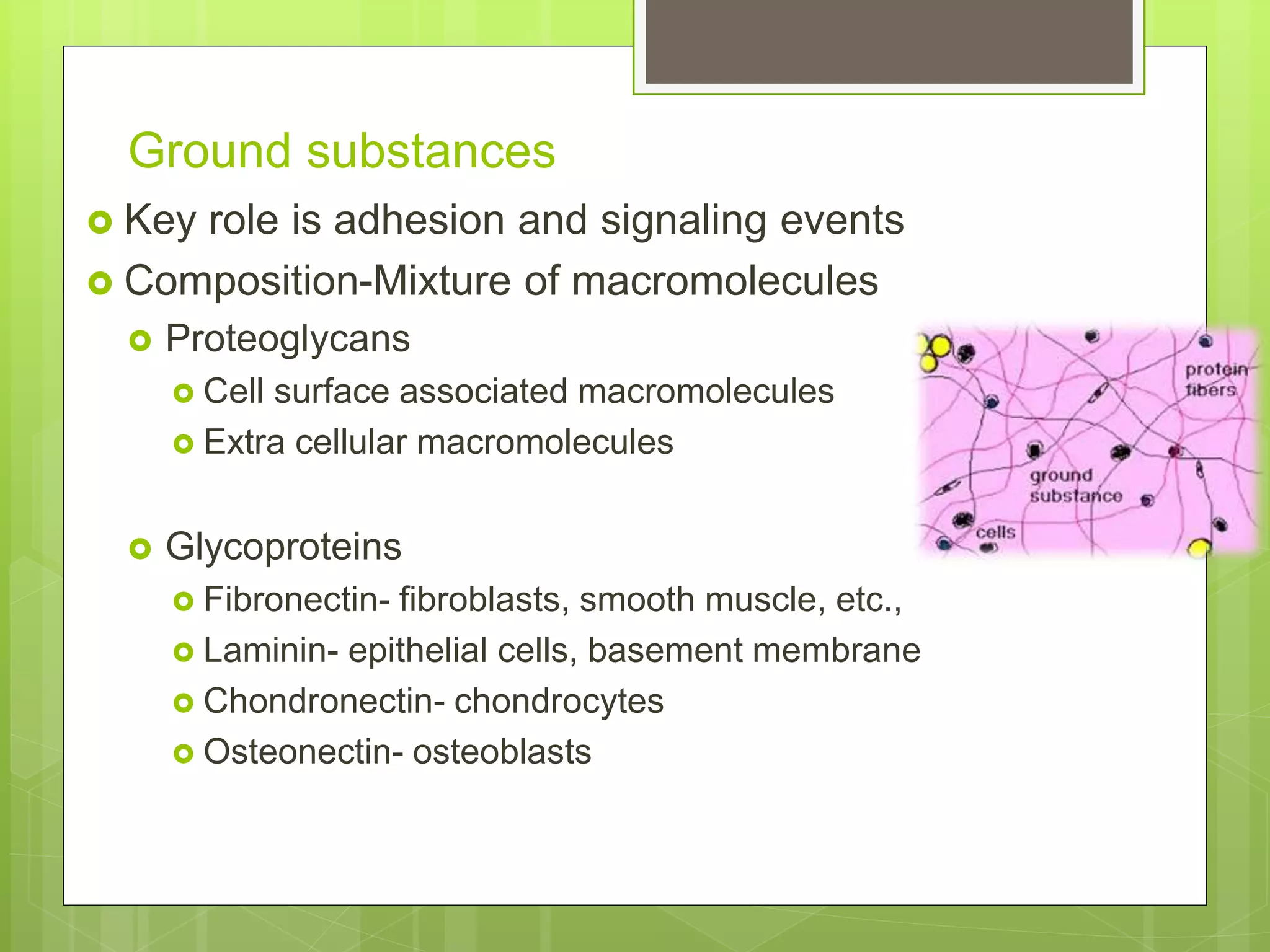 Histochemistry of oral tissues | PPTX