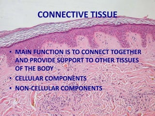Histochemistry of oral tissues | PPTX