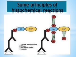 Histochemistry in pathology and it'sbranches.pptx | Chemistry | Science
