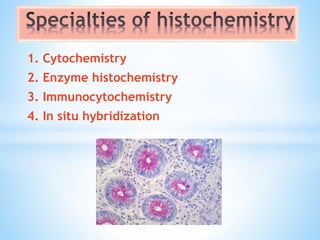 Histochemistry in pathology and it'sbranches.pptx | Chemistry | Science