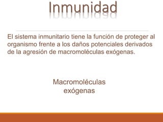 Histo Clase 10 Sistema Linfoide Tecno2.pdf