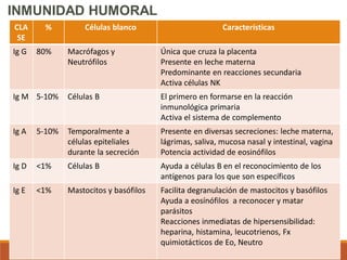 Histo Clase 10 Sistema Linfoide Tecno2.pdf
