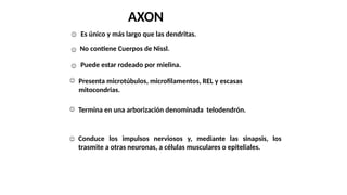Histologia__Tejido nervioso__________________ | PPTX