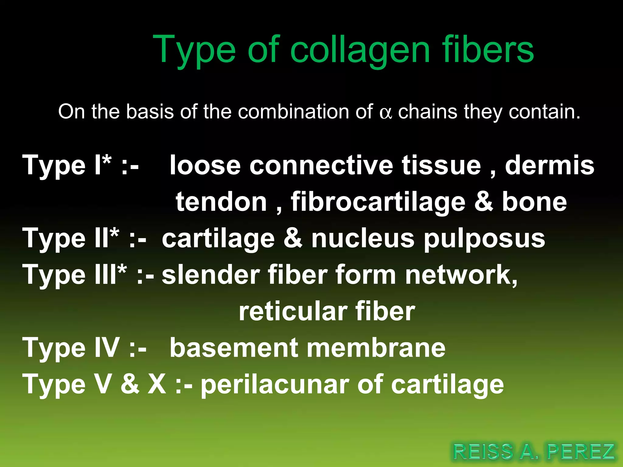 Connective Tissue | PPT