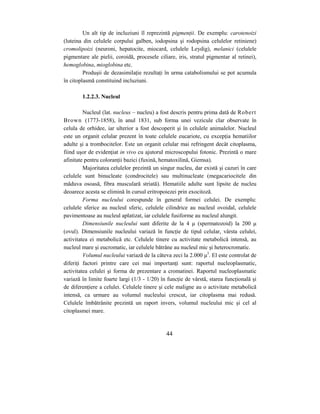 Histoembriologie | PDF