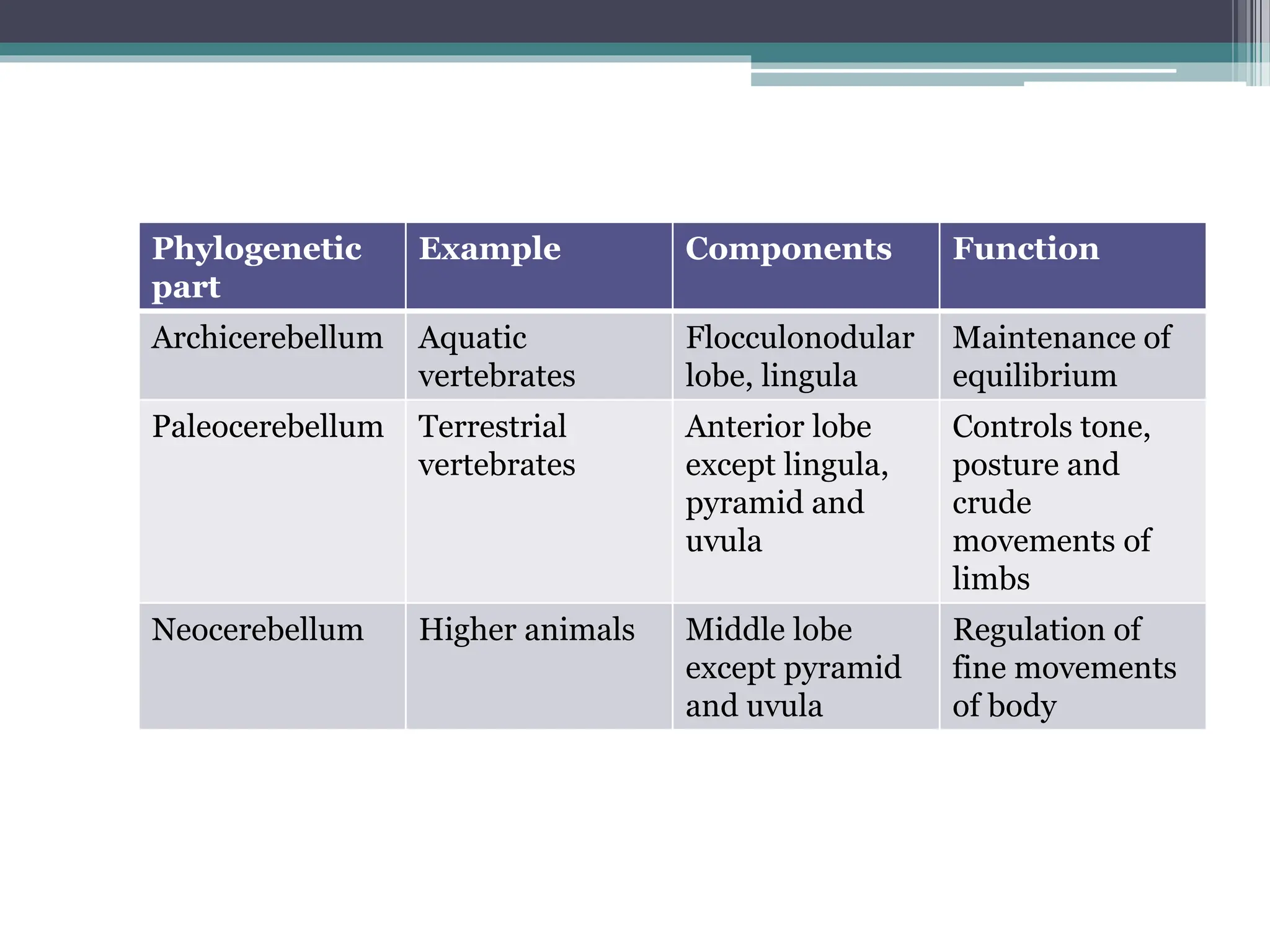 Histogenesis of cerebral cortex and cerebellar cortex, NIT.pptx