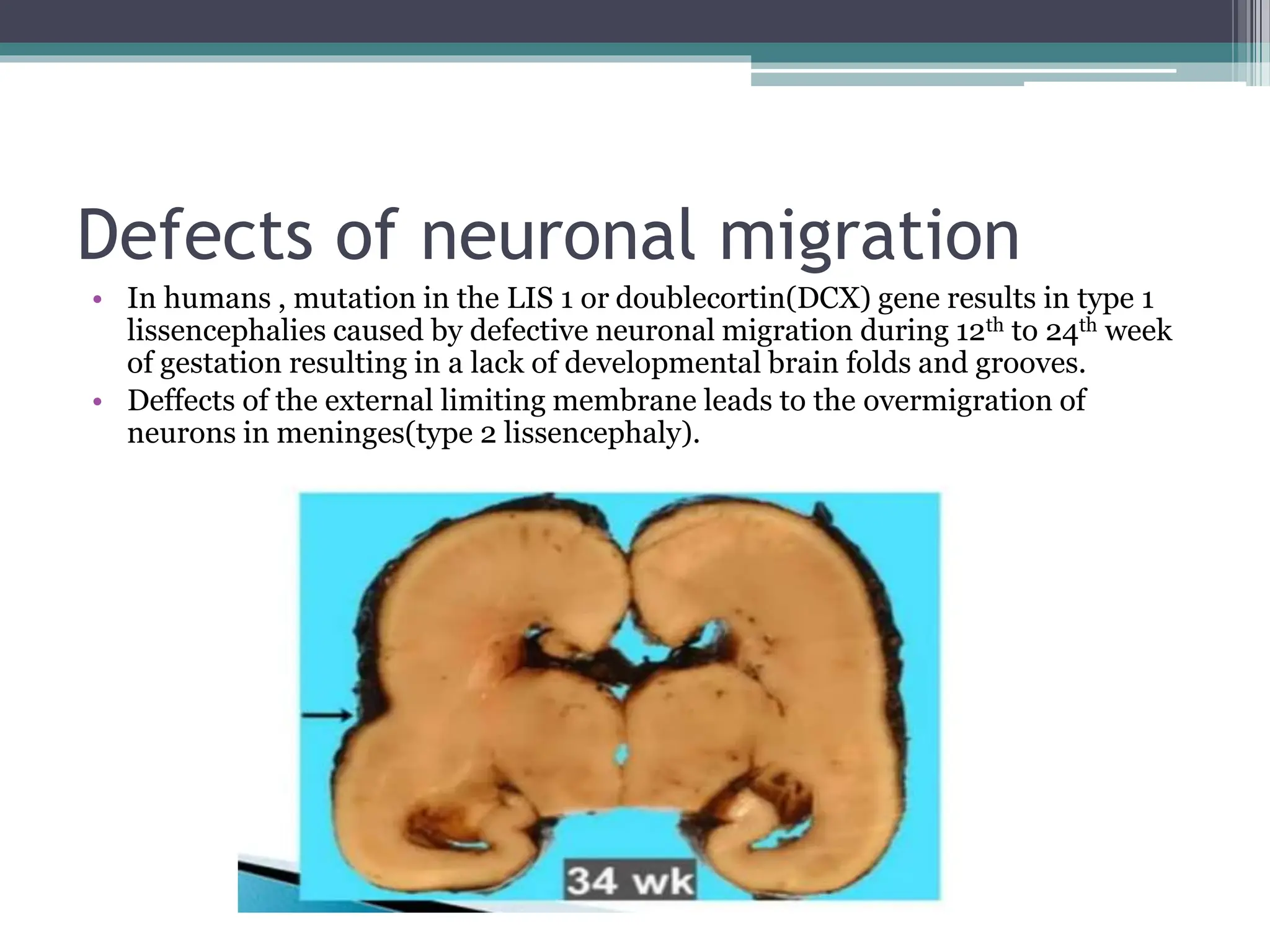 Histogenesis of cerebral cortex and cerebellar cortex, NIT.pptx