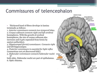 Histogenesis of cerebral cortex and cerebellar cortex, NIT.pptx