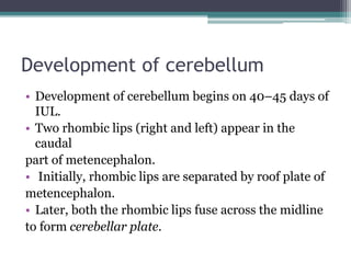 Histogenesis of cerebral cortex and cerebellar cortex, NIT.pptx