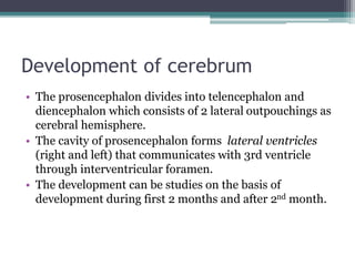 Histogenesis of cerebral cortex and cerebellar cortex, NIT.pptx