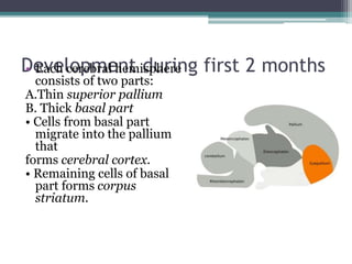 Histogenesis of cerebral cortex and cerebellar cortex, NIT.pptx