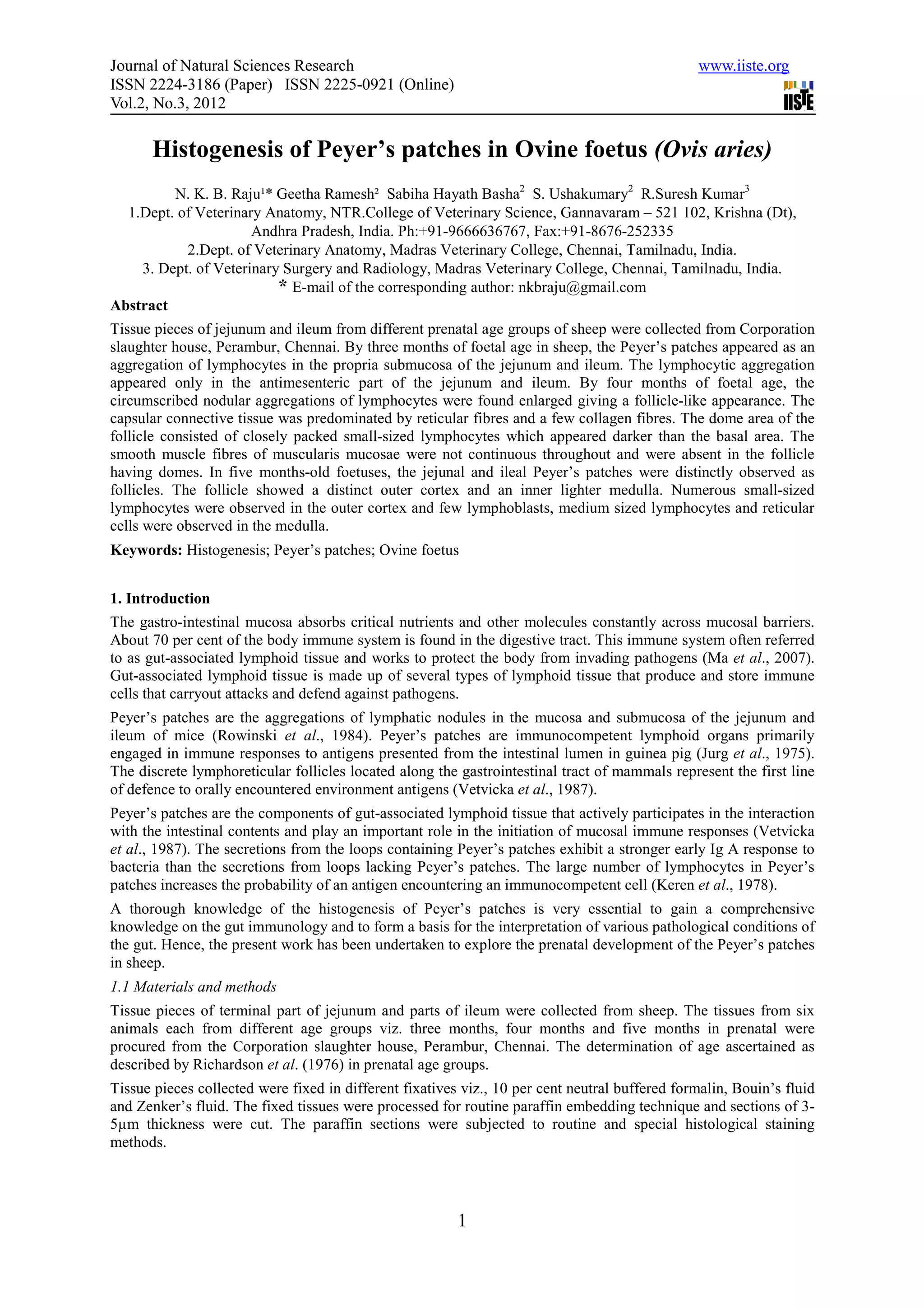 Histogenesis of peyer’s patches in ovine foetus (ovis aries) | PDF