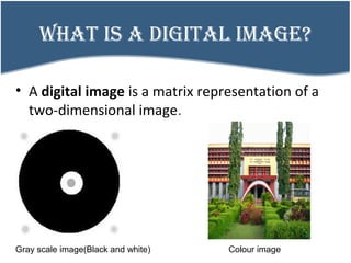 Histogram equalization | PPT
