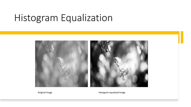 Histogram Equalization.pdf | Digital Audio | Computer Software and ...