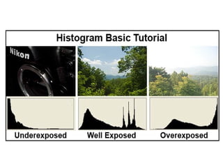 HISTOGRAMS | PPT