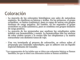 Histología | PDF
