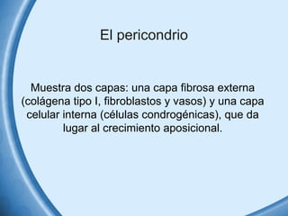 Histología cartílago | PPT
