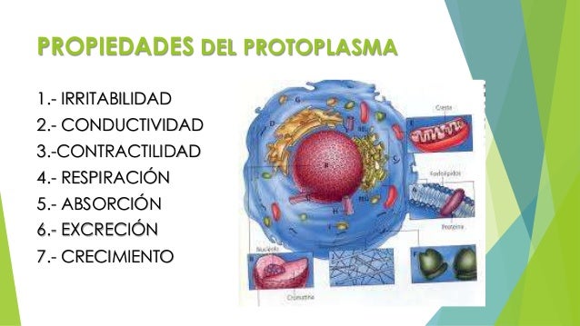 Histología citología