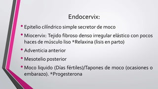 Histología del cérvix uterino y vagina | PPTX