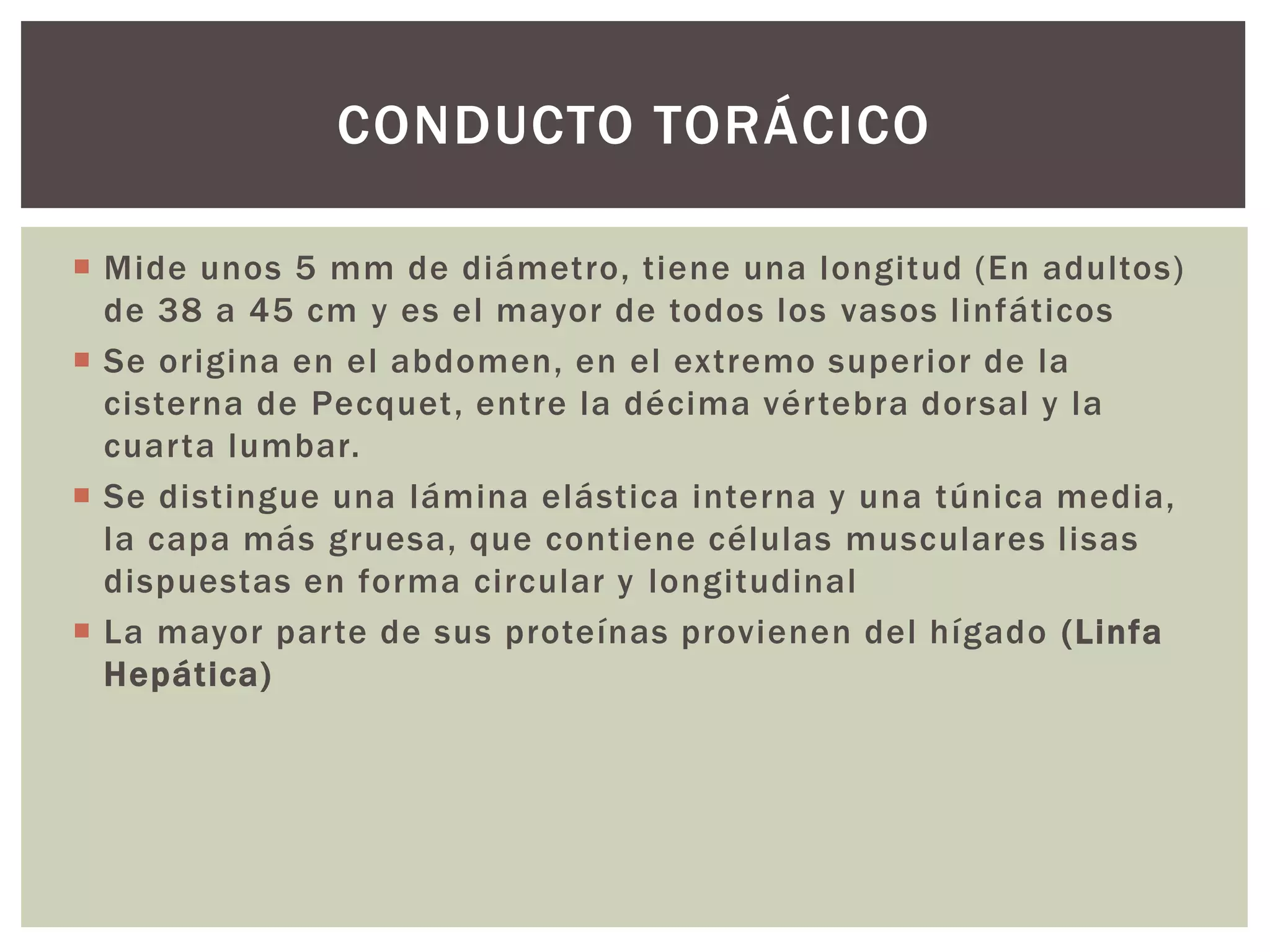 Histología de los vasos linfáticos | PPTX