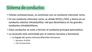 Histología digestivo 3.pptx