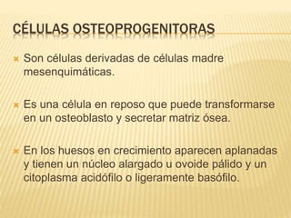 Histología tejidos óseos | PPTX