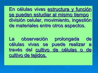 HistologíA Y CitologíA Humana (I) | PPT