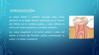 Histología y embriología pulpar | PDF
