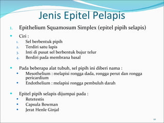 Histologi | PPT