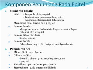 Histologi | PPT