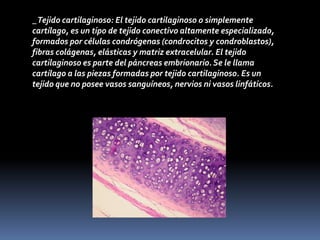Histologia | PPTX