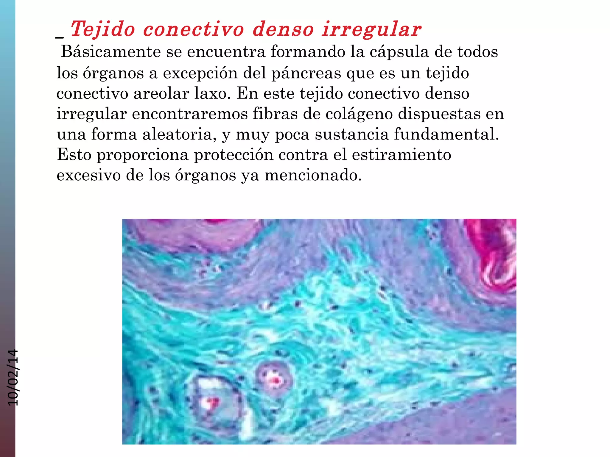 Histologia | ODP