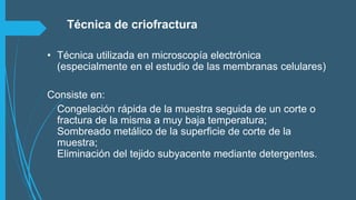 Clases de Histologia Introduccion General.pptx