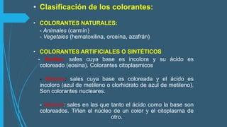 Clases de Histologia Introduccion General.pptx