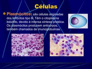 HISTOLOGIA CIENCIAS DA NATUREZA BIOLOGIA ENEM | PPTX