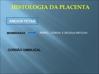 Histologia Da Placenta | PPT