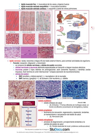 Espesor Del Tejido Desigual En Histologia Online | emergencydentistry.com