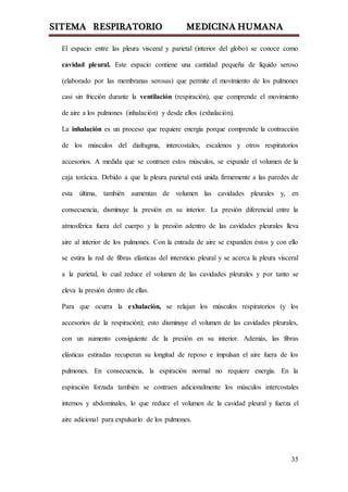 sistema respiratorio histologicamente monografia | DOCX