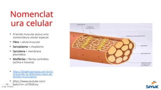 HISTOLOGIA - TECIDO MUSCULAR - Músculos | PPTX