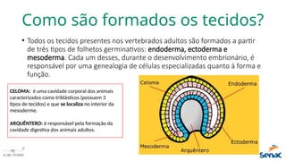 HISTOLOGIA - TECIDO NERVOSO - Anatomiaaa | PPTX