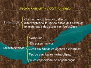 Histologia animal | PPT