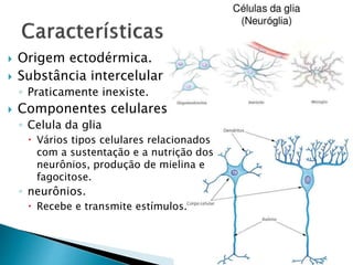 Aula 1º Ano Ensino Médio: Histologia animal/humana | PPTX