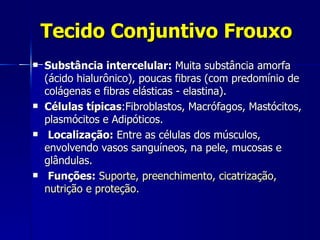 Biologia - Histologia Animal | PPT