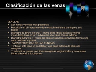 Histologia aparato circulatorio | PPTX