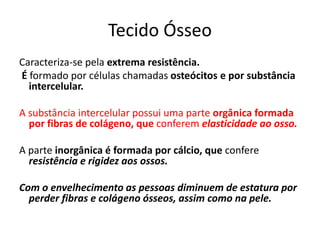HISTOLOGIA AULA 3.pptx
