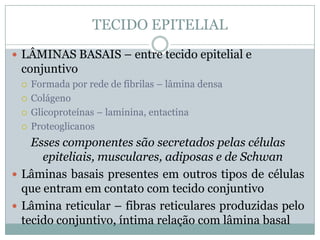 Histologia básica | PPTX
