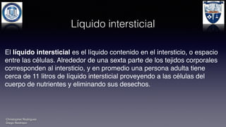 Histologia: Citoplasma y liquido intersticial | PDF