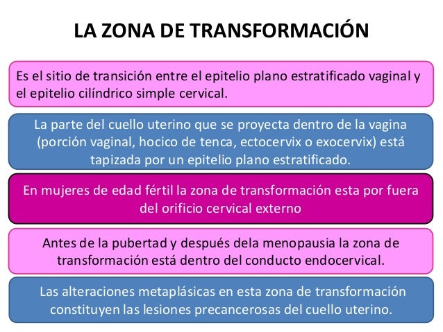 Histologia del cervix
