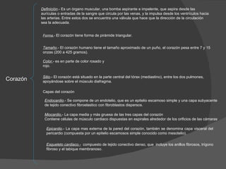 Histologia del corazon .doc